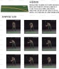 골프 다운스윙플레인점검 가파르게 올라갔던 백스윙 궤도가 플랫하게 뉘여서 내려오는 문제 돌진스윙도 원인 스윙플레인 점검방법 행크